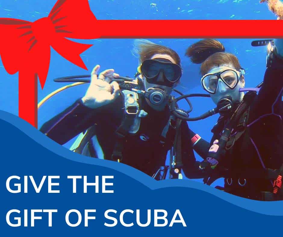 Get Diving! - Diventures