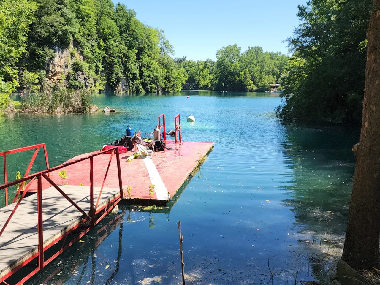 An Up Close Dive at Mermet Springs with James Roberts - Diventures