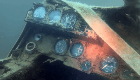 An Up Close Dive at Mermet Springs with James Roberts - Diventures