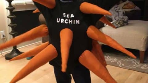 DIY Kid Scuba Diver Costume + 7 Other Ocean-Themed Halloween Costumes ...