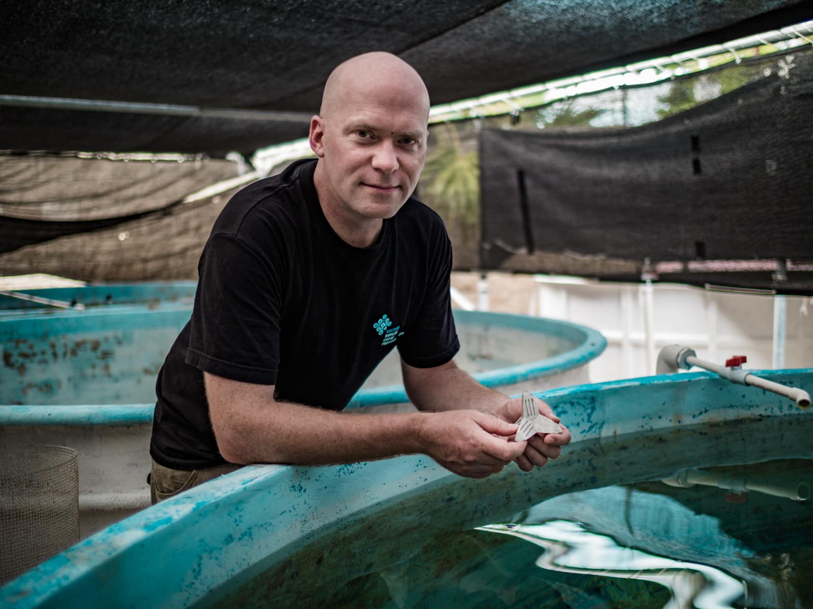 “The Next Ten Years Will Decide the Fate of Coral Reefs.” SECORE ...