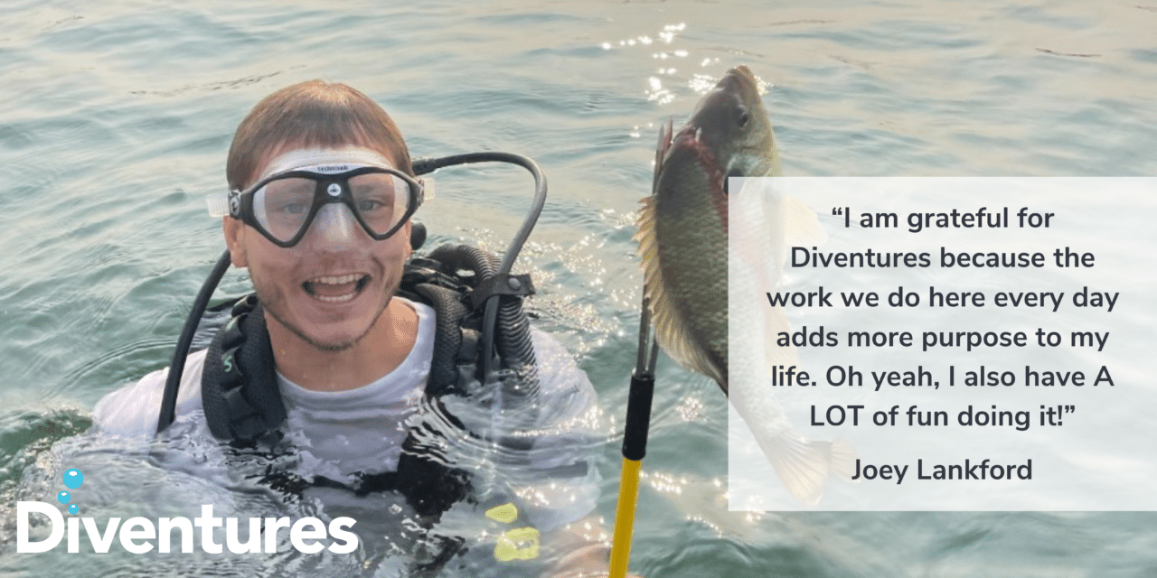 Career and Growth Development at Diventures - Diventures