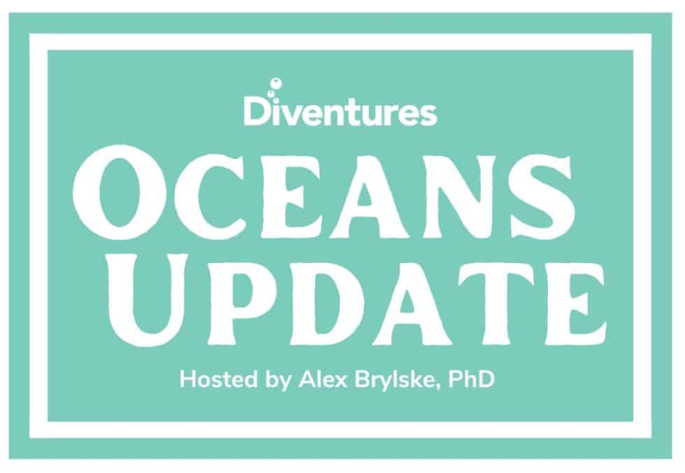 Oceans Update with Alex Brylske | Diventures