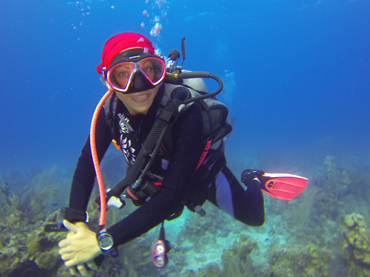Belize Scuba Diving Trips | Diventures