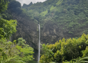 Tahiti Scuba Diving Trips | Diventures