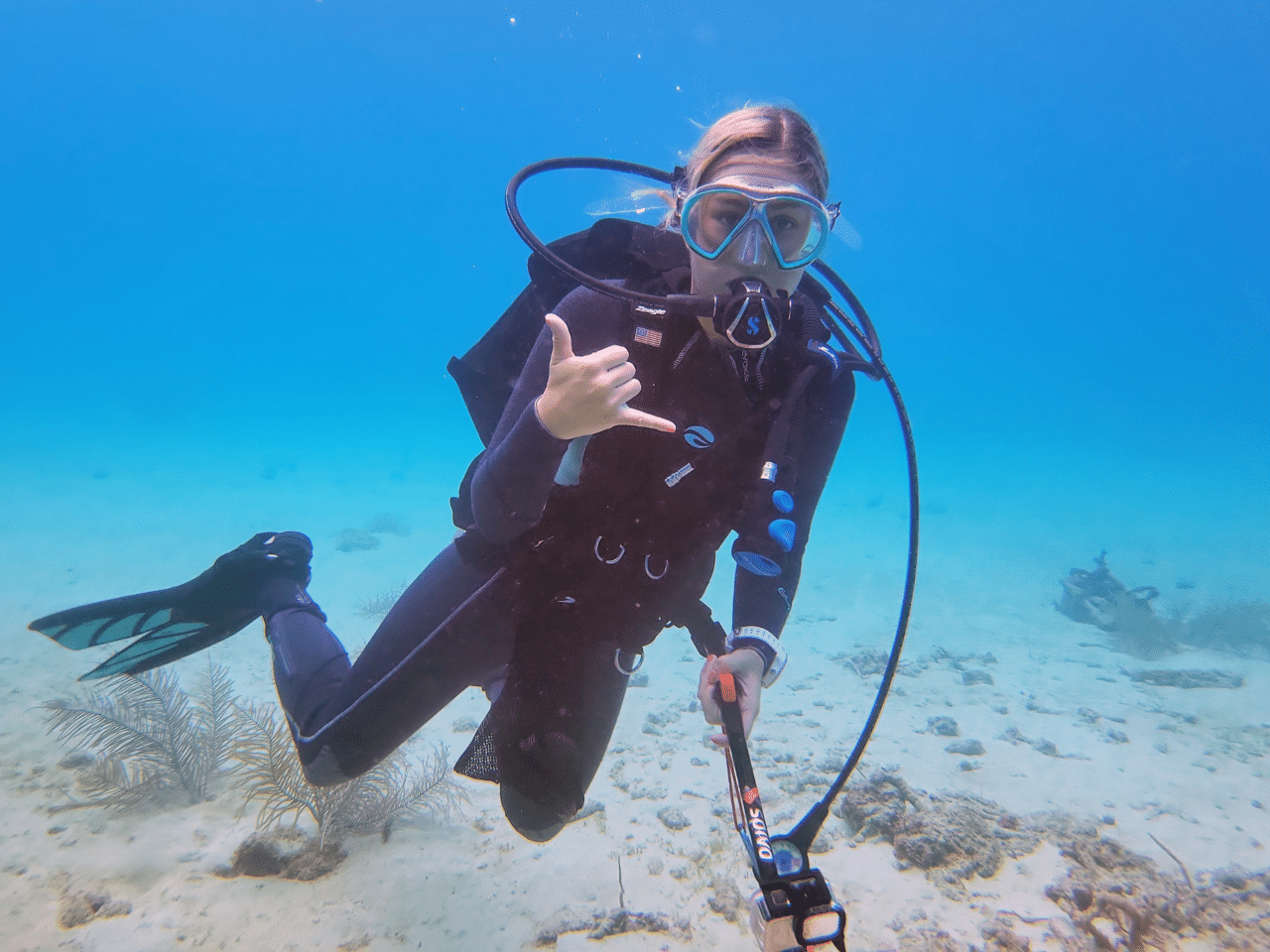 Barbados Scuba Diving Trips | Diventures