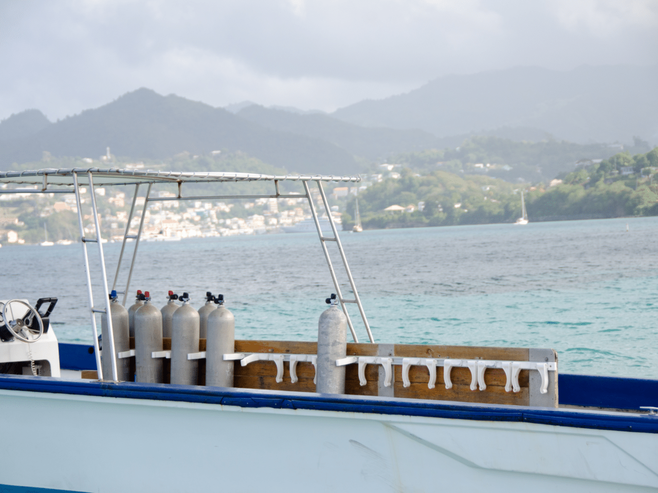 Grenada Scuba Diving Trips | Diventures