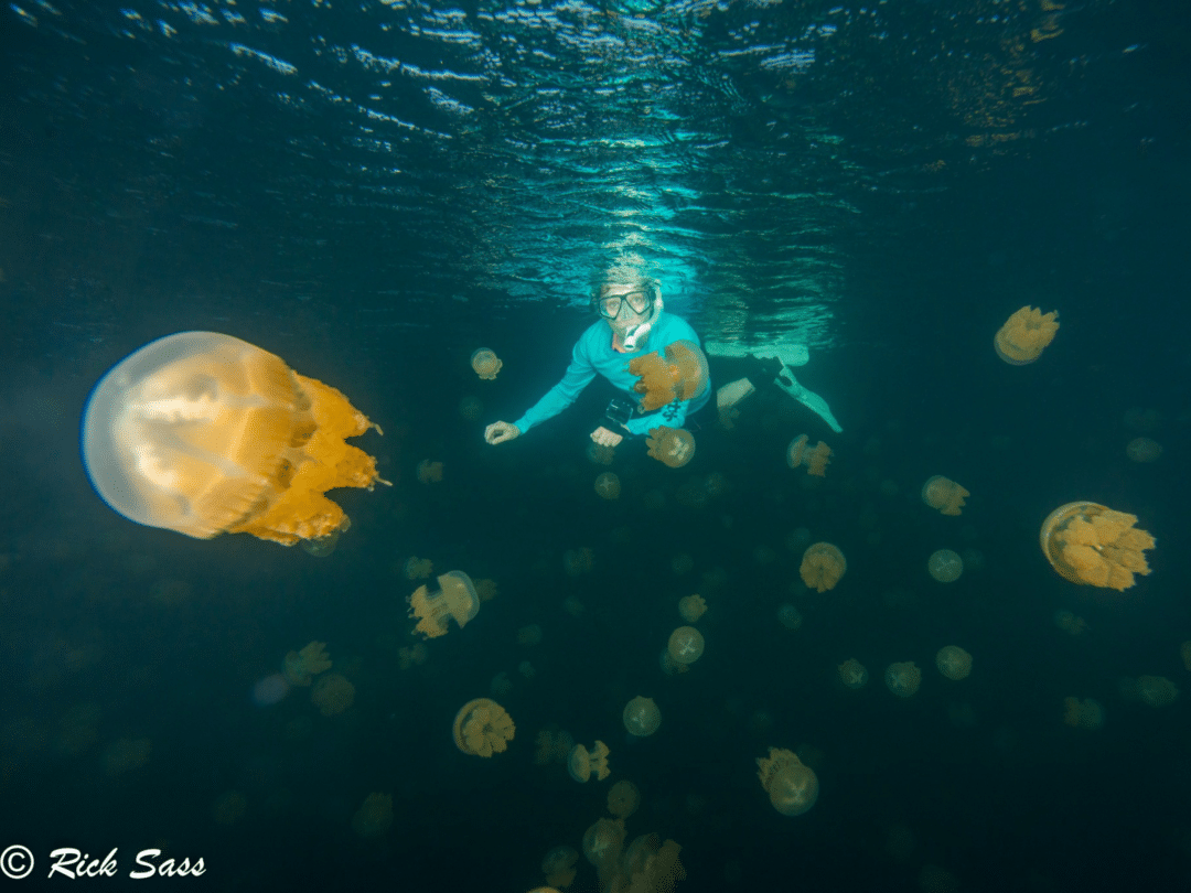 Palau Scuba Diving Trips | Diventures