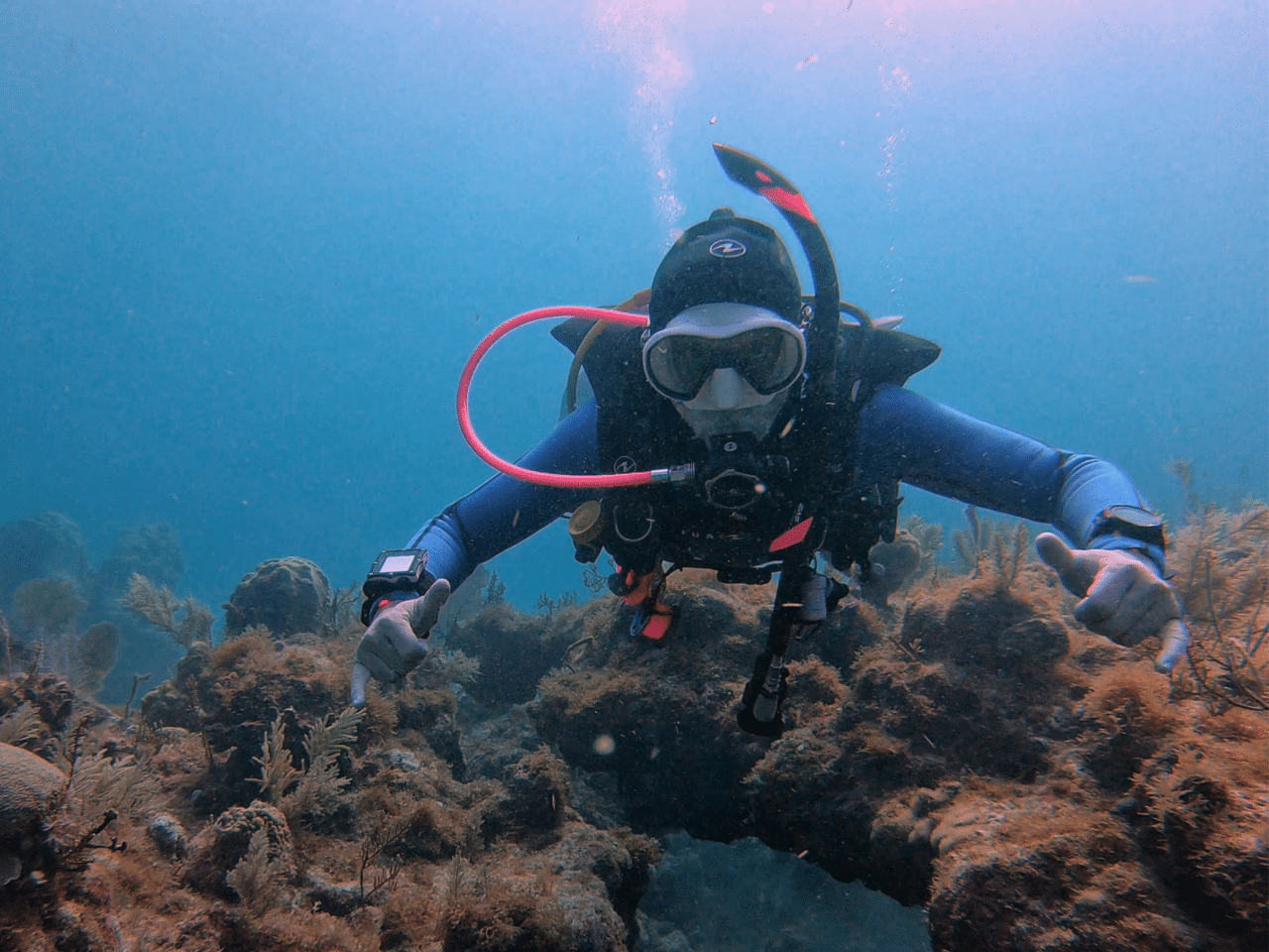 Florida Scuba Diving Trips | Diventures