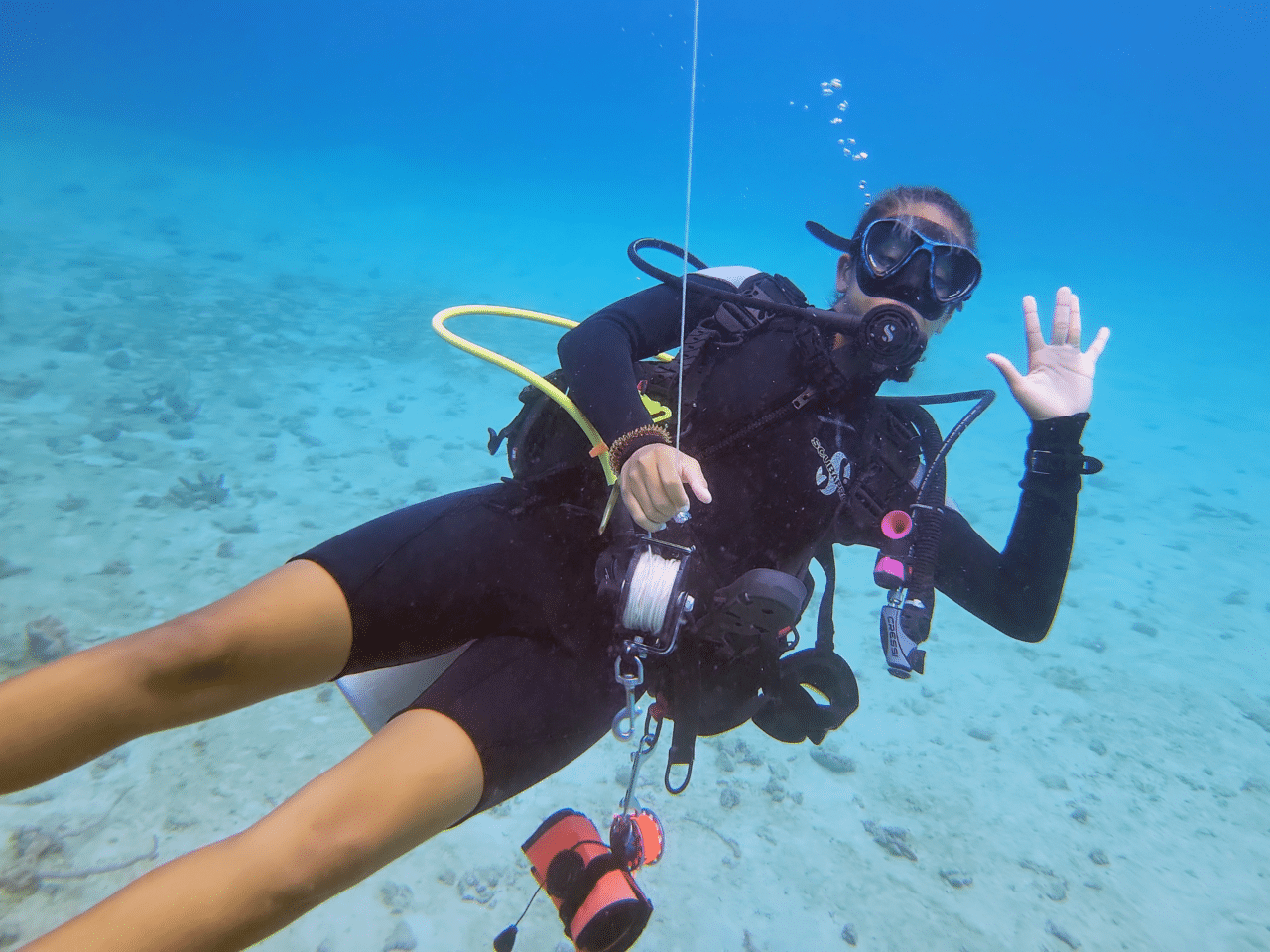 Barbados Scuba Diving Trips | Diventures