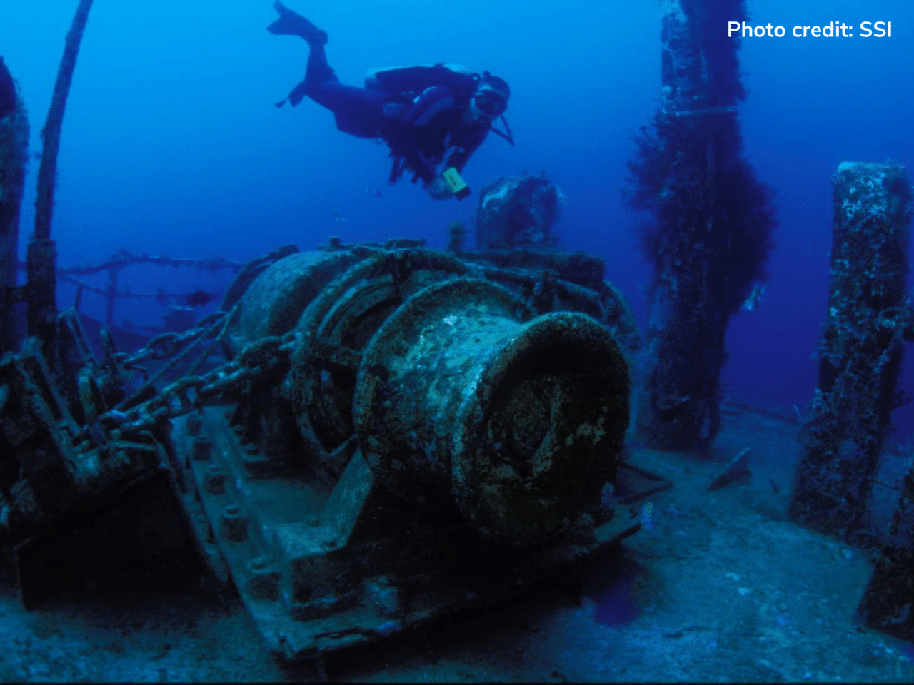 Grenada Scuba Diving Trips | Diventures