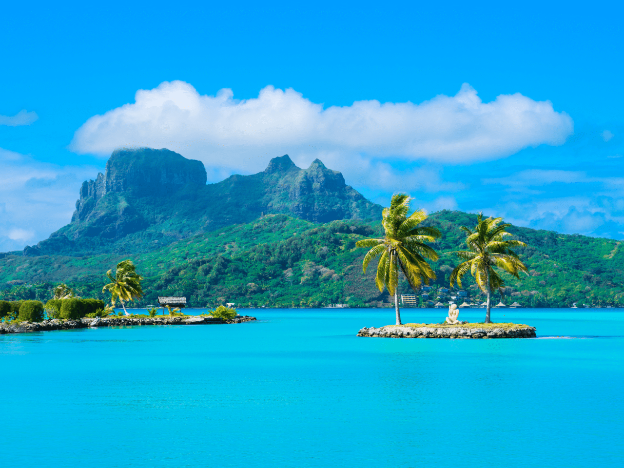 Bora Bora Scuba Diving Trips | Diventures