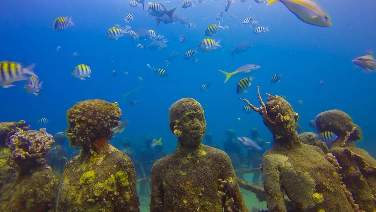 Grenada Scuba Diving Trips | Diventures