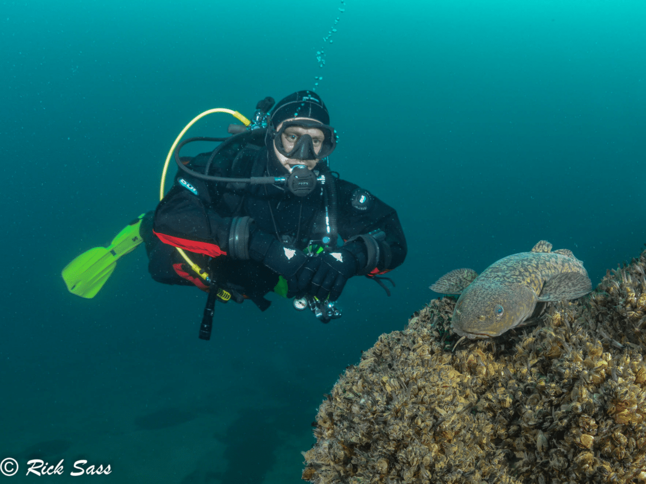 Great Lakes Scuba Diving Trips | Diventures