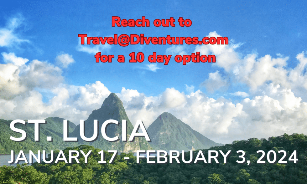 Trip Results - Diventures