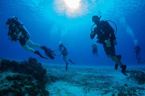 Diventures: Swim Lessons, Scuba Training & Dive Trips