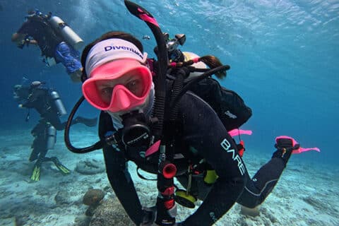 Diventures: Swim Lessons, Scuba Training & Dive Trips