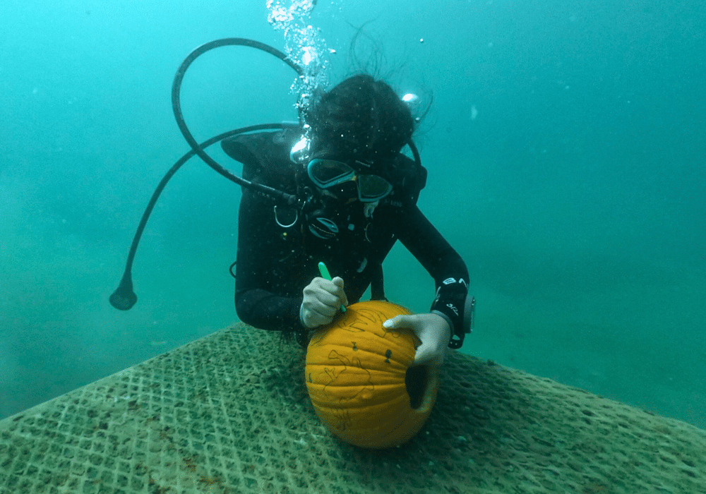 Underwater Pumpkin Carving Tips, Tricks & Treats - Diventures