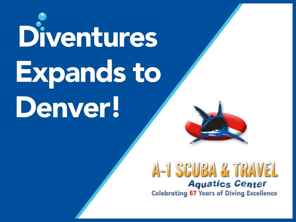 Diventures: Swim Lessons, Scuba Training & Dive Trips
