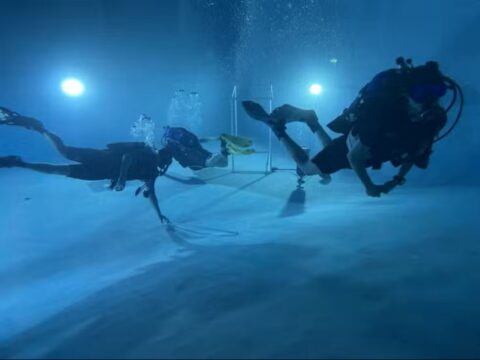 Diving Near Me | Diventures